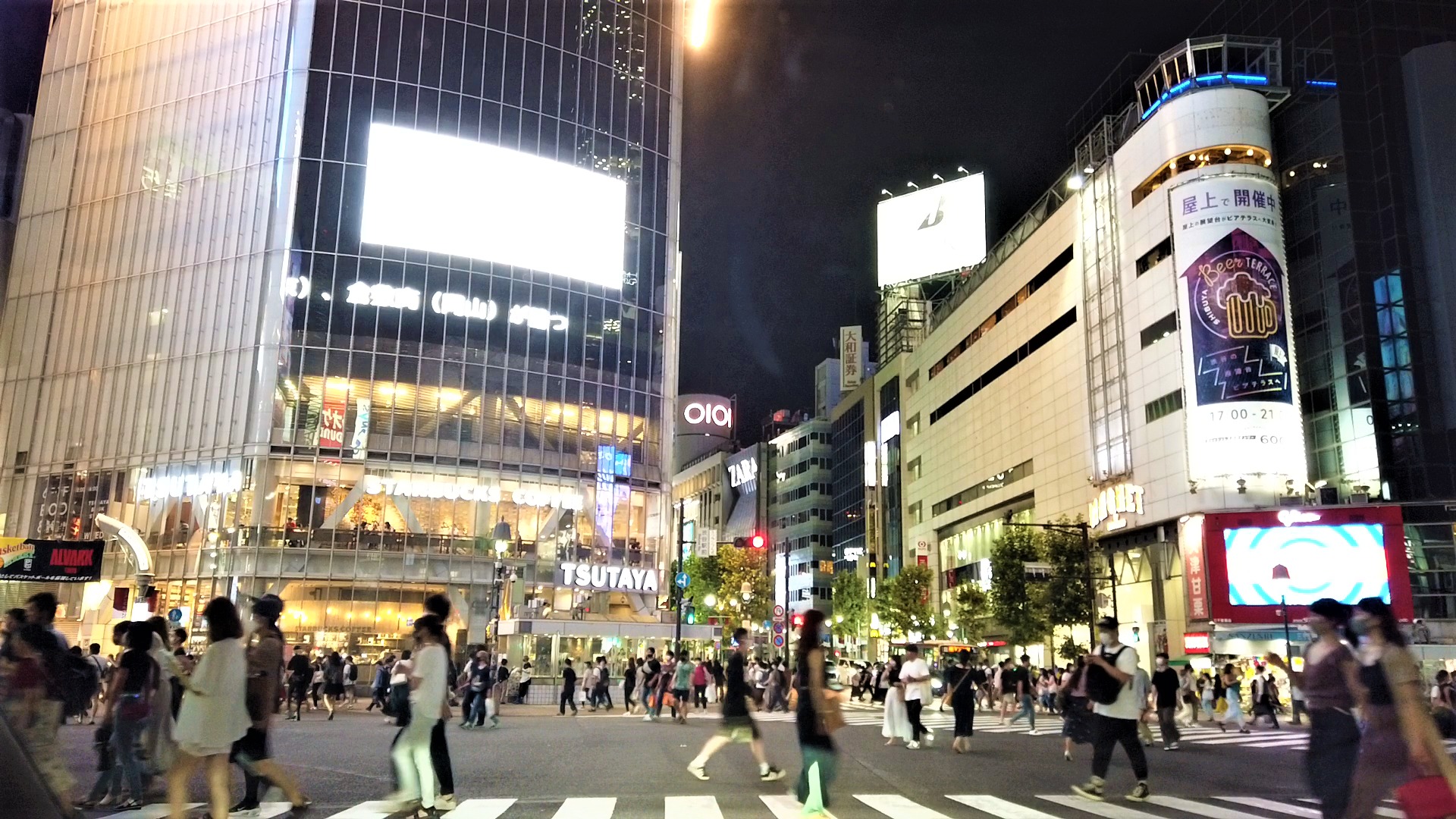 Tokyo Night Drive | Tokyo Adventure Life